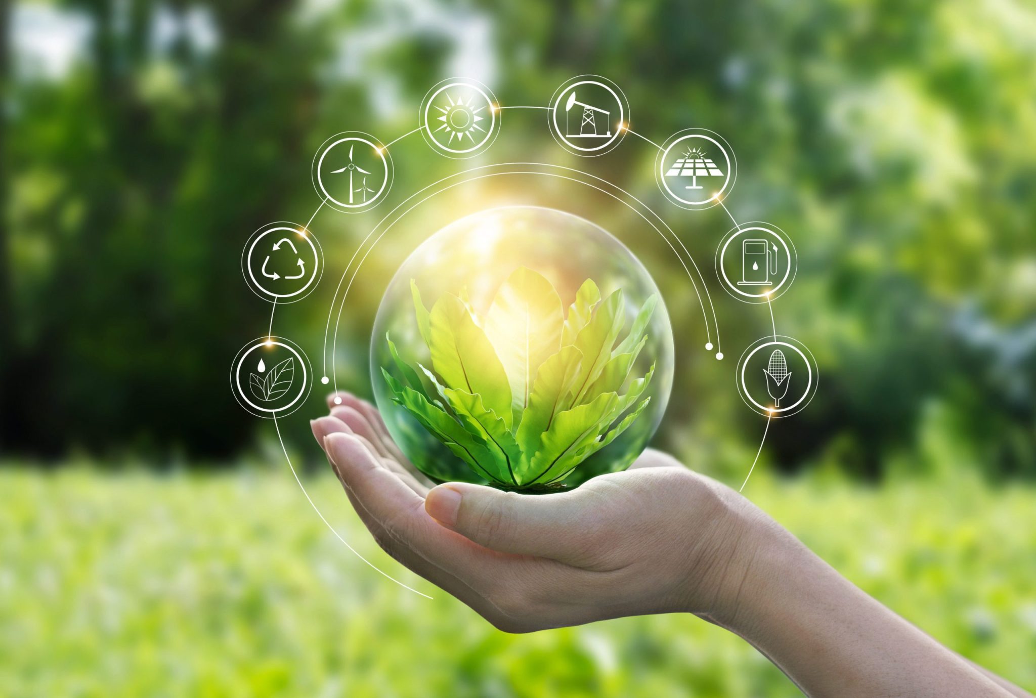 Home - College of Climate Change